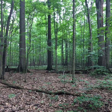 Understanding Acrs Comparable Properties Analysis Tool The Climate Trust