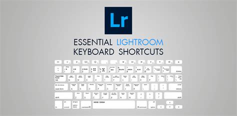 Lightroom Keyboard Shortcuts Every Photographer Needs To Know