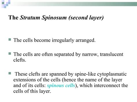 Introduction To Anatomy Ppt