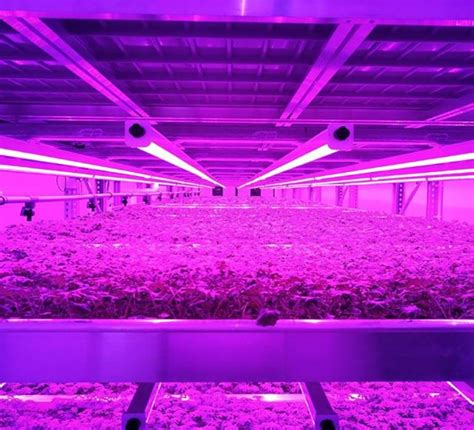 Vertical Farming Sustainability Vertical Farm