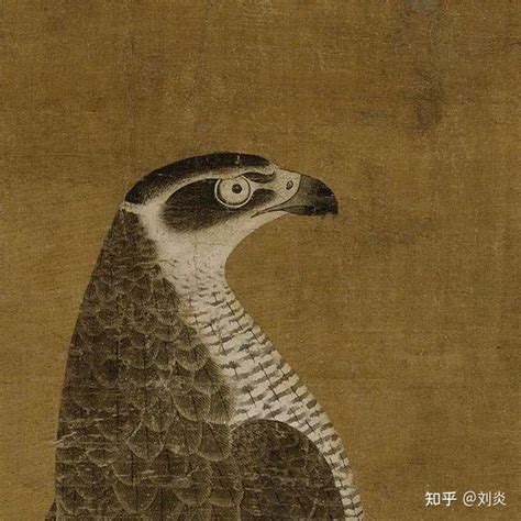 发 现 画中鹰 知乎