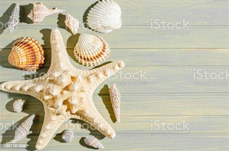 나무 배경에 불가사리와 조개 바다에서 여름 휴가의 개념 공간을 복사합니다 0명에 대한 스톡 사진 및 기타 이미지 0명