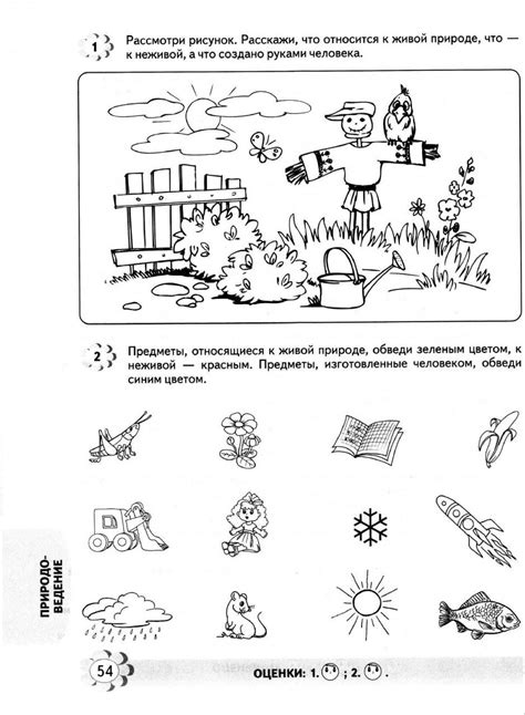 Карточки живая и неживая природа для дошкольников 64 фото