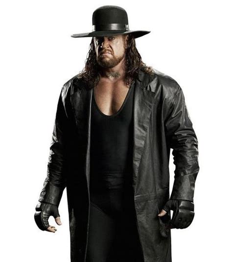 Wwe送葬者vs马克亨利 巨人卡里乱入袭击送葬者