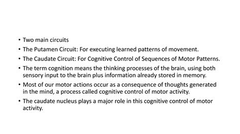 Cerebrum Motor And Sensory Cortex Basal Ganglia Pptx
