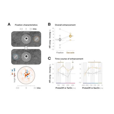 Saccade Preparation Accelerates Foveal Enhancement A Observers Mean Download Scientific