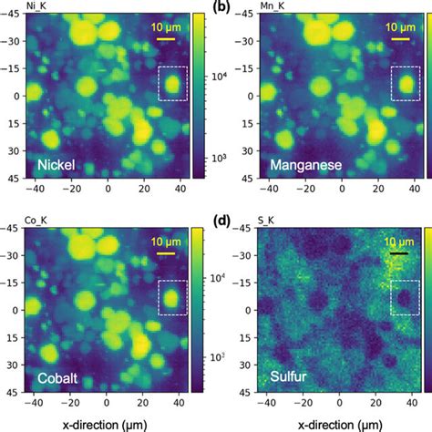 X Ray Fluorescence Xrf Mapping Of Co Used To Demonstrate Relative
