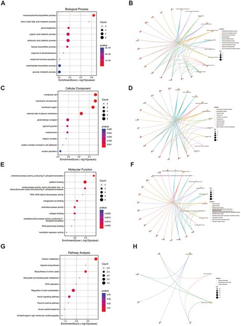 G6pd Is A Prognostic Biomarker Correlated With Immune Infiltrates In Lung Adenocarcinoma And