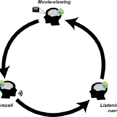 Circle Of Communication Depiction Of The Entire Procedure During