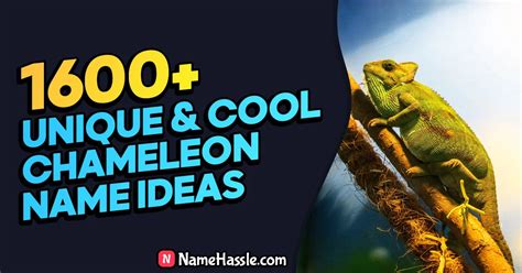 1695 Cool And Funny Crocodile Names Ideas Generator 2025
