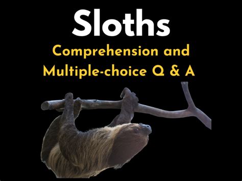 Sloths Reading Comprehension With Multiple Choice Questions And Answers