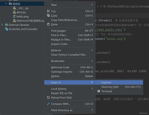 Selenium 自动化下载与运行打开浏览器页面 selenium pip下载 CSDN博客