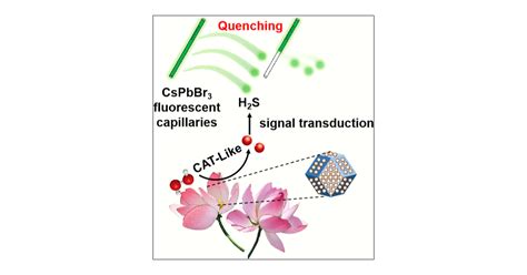 Distance Based Fluorescent Immunosensor For Point Of Care Test Of