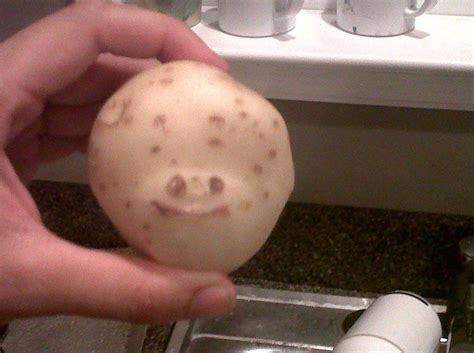 My Potato Looks Like Toad 🍄 Rmario
