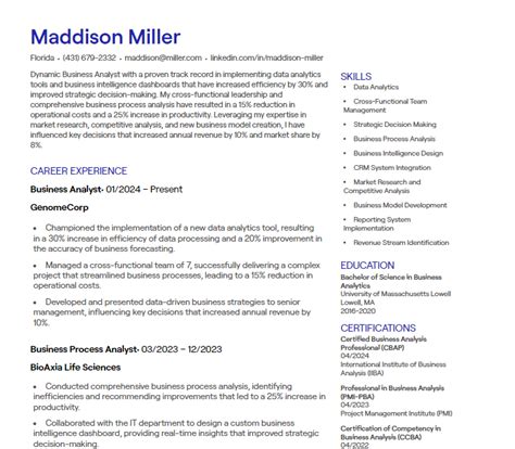 Business Analyst CV Examples Free Templates