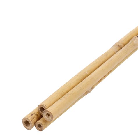 Augu Balsti StiprinĀjumi Dārziem