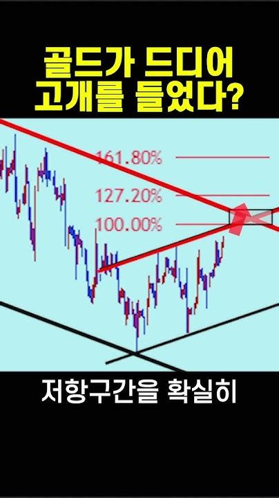 골드 내릴만큼 내렸다 Youtube