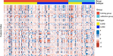 Figure From The Machine Learning Model For Distinguishing Pathological Subtypes Of Non Small
