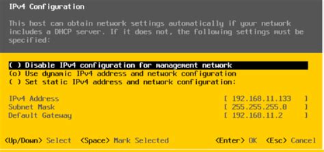 Настройка IP адреса в VMware ESXi Документация FAQ