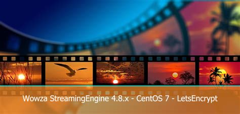 Wowza Centos Ssl Letsencrypt Macas Blog