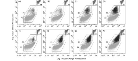 A Representative Plots Of Flow Cytometric Data For A And E Negative Download Scientific