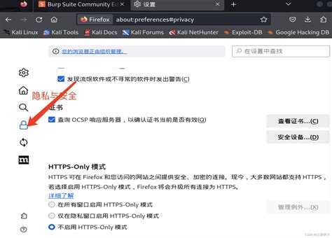 kali使用自带burpsuite 火狐浏览器设置代理 kaili访问火狐 csdn博客
