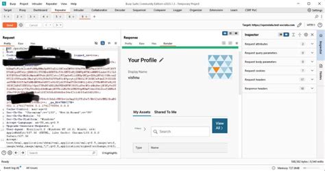 Cybersecurity Penetrationtesting Hackerone Bugbounty Bugcrowd Vineeth Krishna
