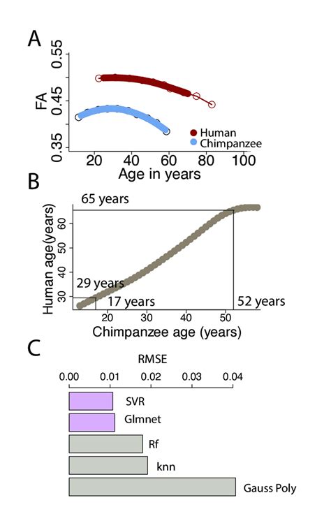 Fig S8 We Used Fractional Anisotropy Radial And Mean Diffusivity To