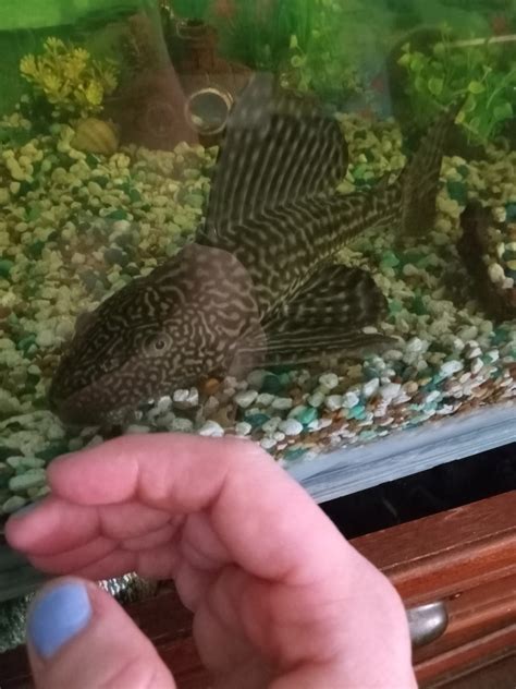 Alexandra Beckemeyer