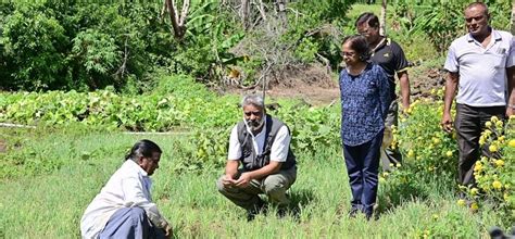 Le Xournal Apr S Le Passage Du Cyclone Freddy Maneesh Gobin Les
