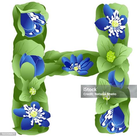 간워트의 꽃과 잎의 형태로 만든 영어 알파벳의 문자 H의 벡터 이미지 0명에 대한 스톡 벡터 아트 및 기타 이미지 0명 개화기 계절 Istock