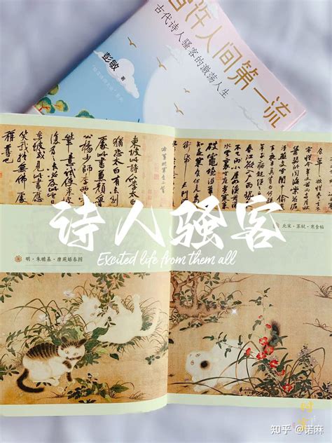 这本书太不正经了悄咪咪吃了一群古代才子的瓜 知乎