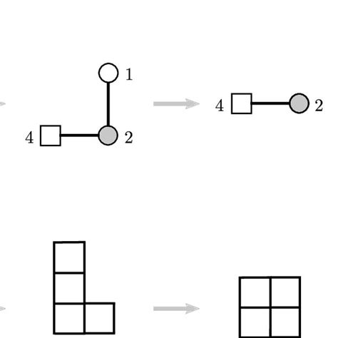 An A ℓ−1 Type Dynkin Diagram Download Scientific Diagram