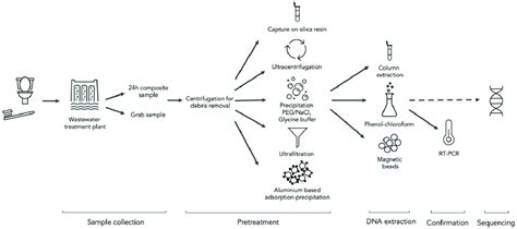 Scheme Describing Step By Step Methodologies For Sars Cov 2 Sequencing