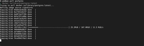 Deploy Postgresql Database On Podman A Step By Step Guide