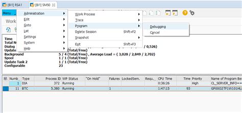 How To Debug Backgroundbatch Job In Sap Pawel Wiejkut