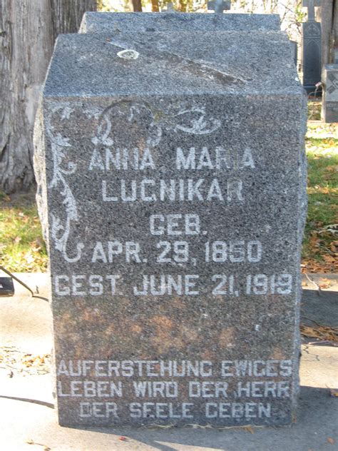 Anna Maria Strack Locnikar 1850 1919 Find A Grave Memorial