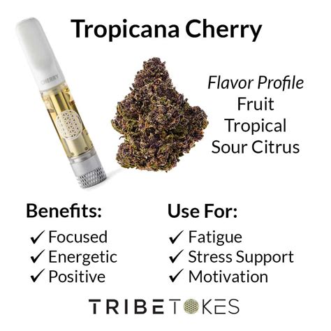 Tribetokes Leading The Clean Cannabis Movement
