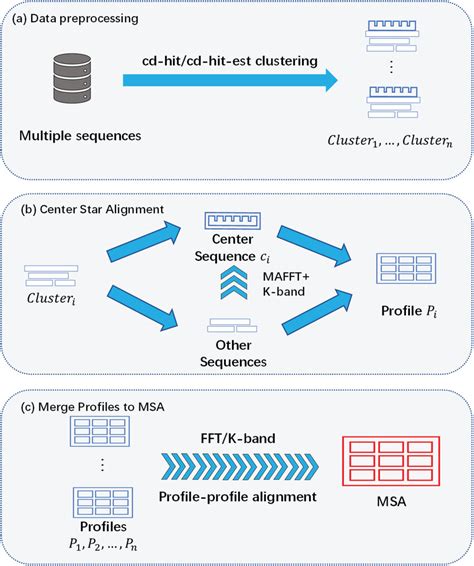 The Flowchart Of Wmsa The Input Is The Unaligned Sequences A The