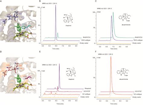 Deciphering And Reprogramming The Cyclization Regioselectivity In