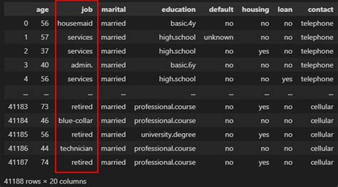 Pandas教學 解密pandas套件清理類別資料categorical Data的方法