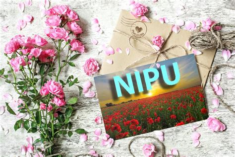 Zannatul Nipu On Linkedin Myphotofunia Design