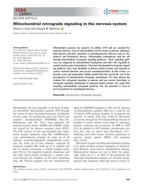 Pdf Mitochondrial Retrograde Signaling In The Nervous System