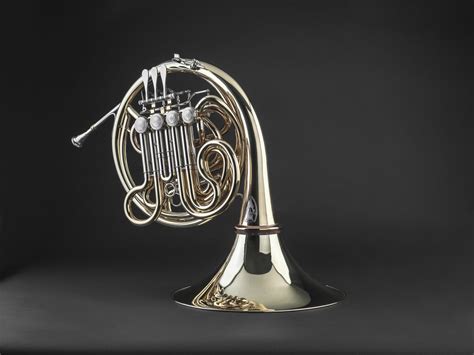 How Does French Horn Sound At Matthew Calzada Blog