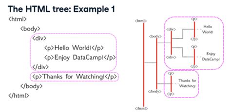 Web Scraping HTML Flashcards Quizlet