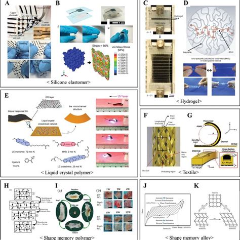 Overview Of Bioinspired Materials For Soft Robots Material And Download Scientific Diagram
