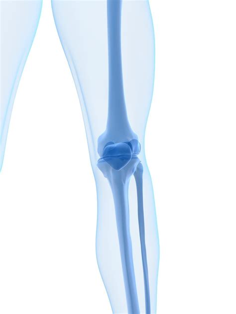 Exploring Bone Health Vital Nutrients And Tips