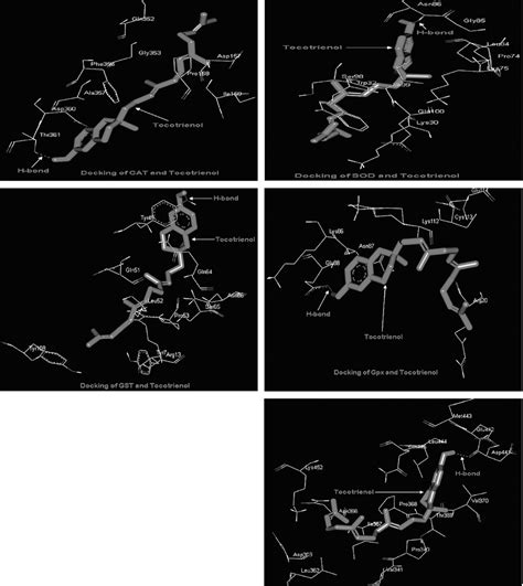 Docked Structure Of Tocotrienol With Gst Gr Sod Gpx And Cat Download Scientific Diagram