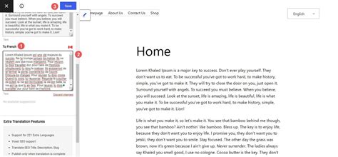 How To Translate WordPress Websites In 2025 Beginner S Guide