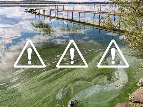 Green Waters Red Flags Toxic Algae Outbreaks In Idaho Virtual
